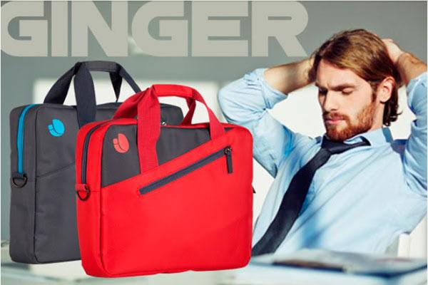 NGS Ginger: para personas que aprecian la estética y la vanguardia ...